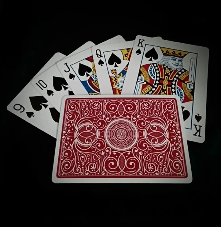 COPPERHEAD VINTAGE EDITION (2023) PLAYING CARDS - SIGNED BY THE ARTIST ...