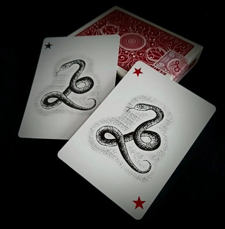 COPPERHEAD VINTAGE EDITION (2023) PLAYING CARDS - SIGNED BY THE ARTIST ...